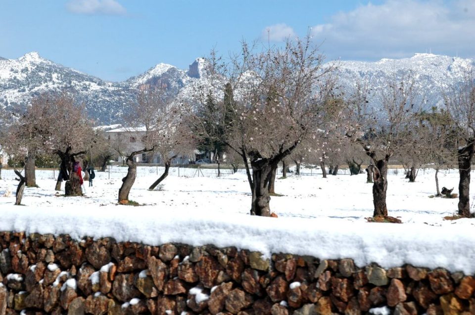 nieve en Palma - Turisme Petit. Turismo familiar por Mallorca por Mallorca