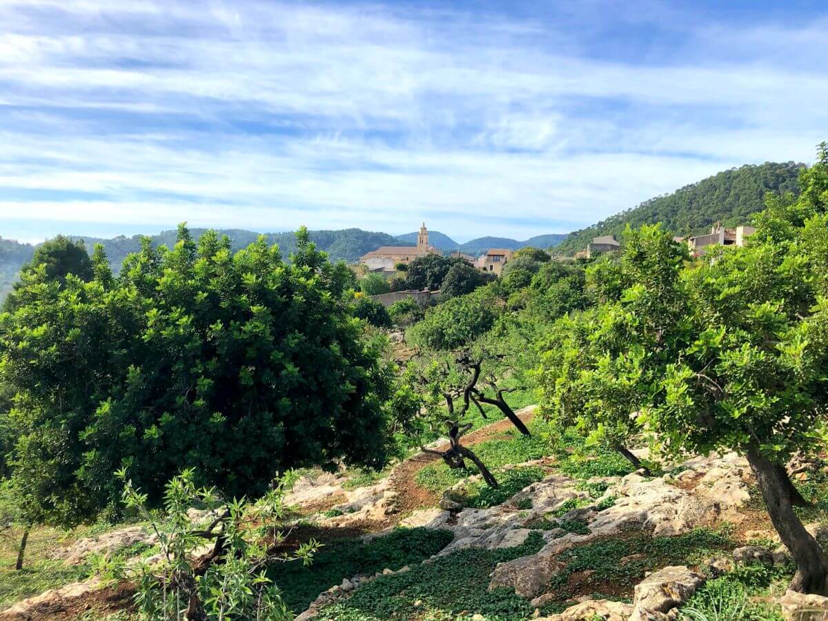 Excursión corta de Caimari a Binibona - Turisme Petit